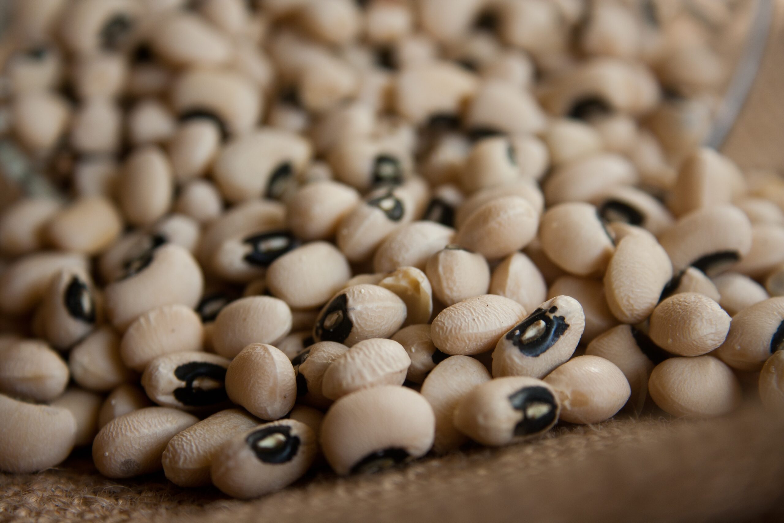 Speeding up Sour Beer Production… with Field Peas? - The Beer Connoisseur®